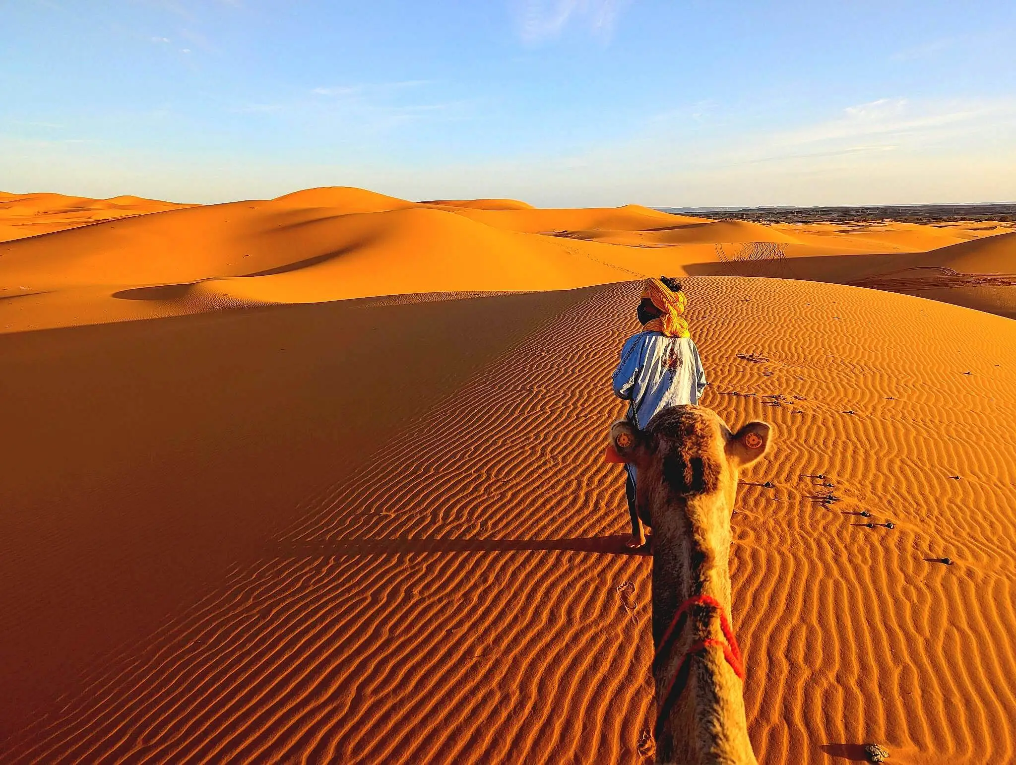 I Più Popolari Tour e Escursioni Nel Deserto, Marocco